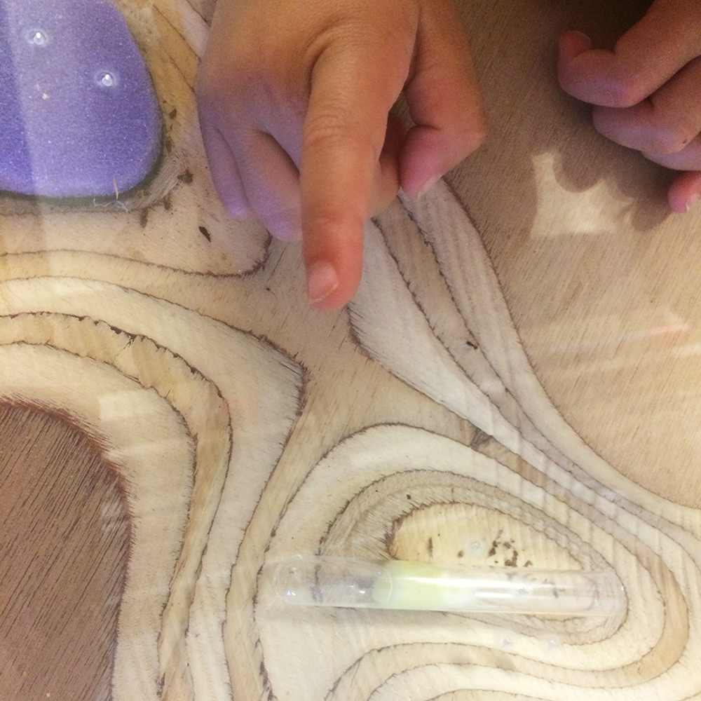 ANT HOUSE FOR KIDS - VVV